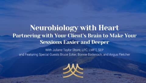 Therapy Wisdom | Online Programs and Trainings for Therapists