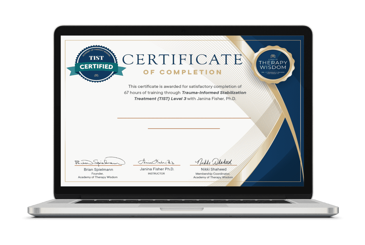 TIST Trauma Certification Training | Therapy Wisdom