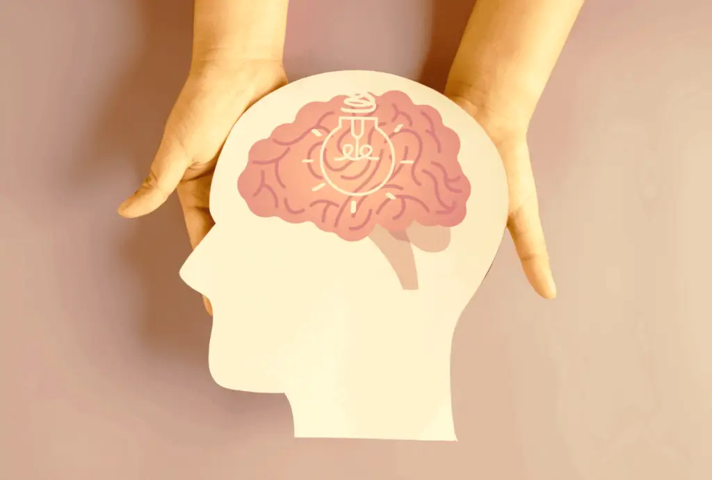 Why is studying the brain important for psychology? Jules Shore