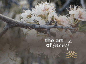 On The Subtle Practice Of Gaining Merit